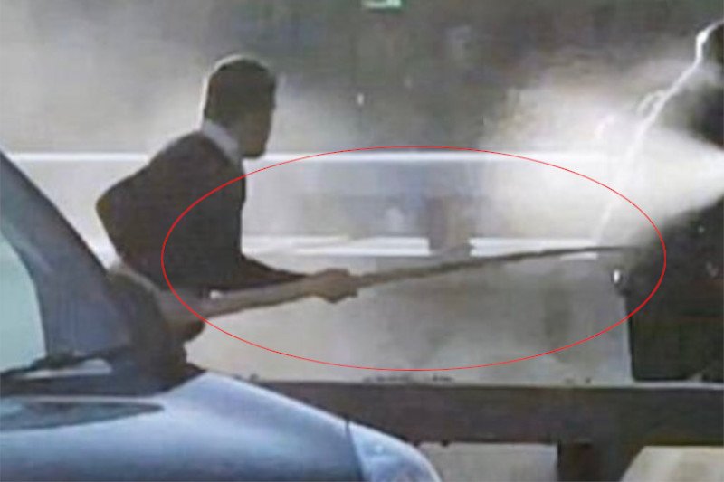 Kieł narwala. Jak wygląda narwal i kieł którym Polak walczył z ...